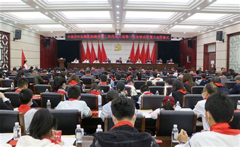 中国少年先锋队临湘市第二次代表大会举行 王文华出席 临湘市政府网