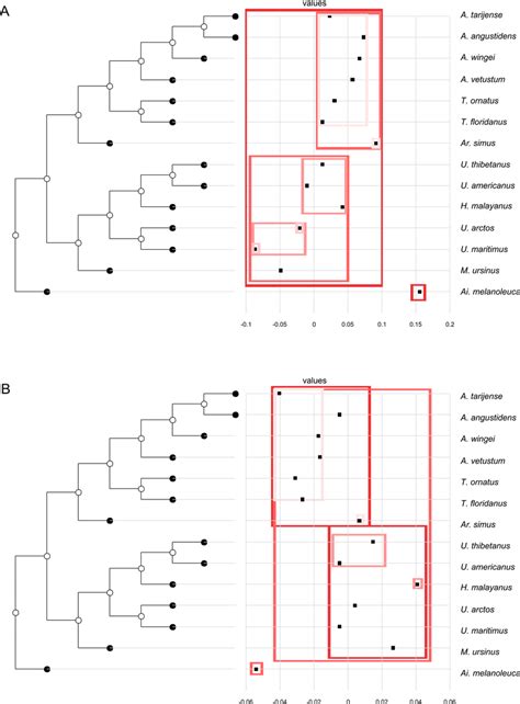 Phylogenetic Tree With Dotplot Of The Shape Of The Basicranium