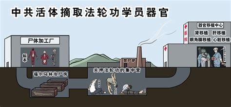 時事漫畫：中共活體摘取法輪功學員器官 大紀元