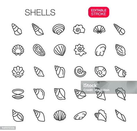 Shells Thin Line Icons Set Editable Stroke向量圖形及更多海中圖片 海中 佩帶用珍珠 剪裁圖 Istock
