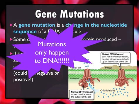 Gene Mutations Ppt Download