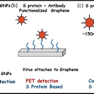 Schematics For Detection Techniques For SARS CoV A RNA Based