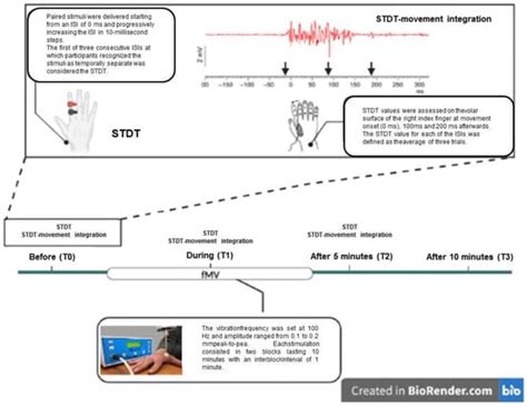 Brain Sciences Free Full Text Investigating The Effects Of A Focal