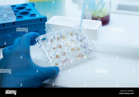 In Vitro Cellular Assay Using Multi Pipette And Well Plate Cell Culture