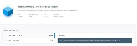 Repositories Docker Documentation