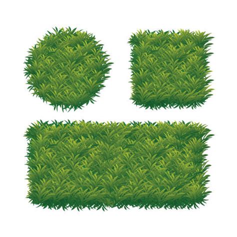 Realistic Grass Shape Banner Vector Natural Design Element Graphic A2z