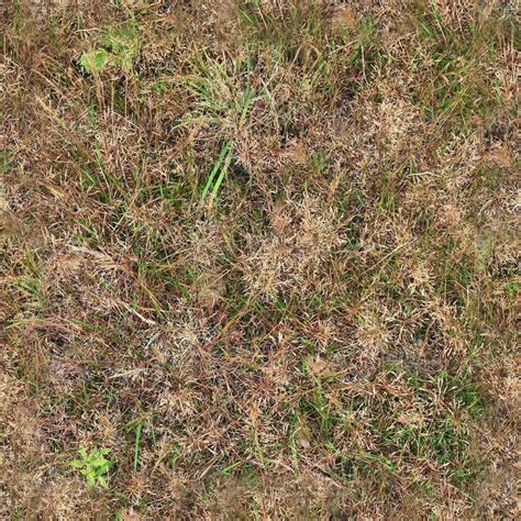 Photo Realistic Seamless Grass Texture In Hires With More Than 6