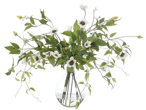 Clematis White Glass Vasefaux Watergarden 23 Ndi