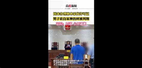 男子砍伐自家种的树被判2年半！为什么种树没人管，砍树就有人管？ 新闻频道 和讯网