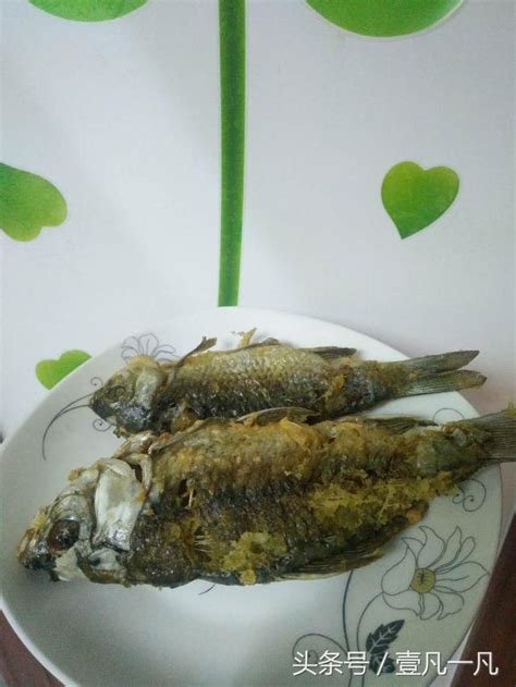 教你簡單燒出奶白色魚湯！鮮美無比！忍不住多喝兩碗！ 每日頭條