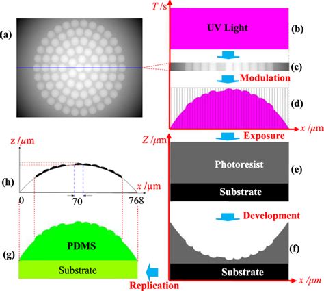 fast fabrication of curved microlens array using dmd based lithography