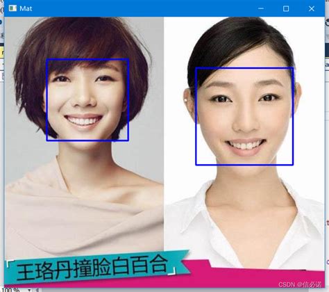Dlib —— 对图片进行人脸检测（附c源码）dilb C语言代码 Csdn博客