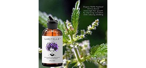 Best Organic Shampoo For Dandruff Organic Aspirations