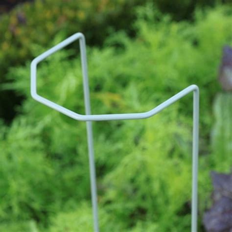 Agriframes 100cm Elegance Plant Support Pack Of 2 Garden Street
