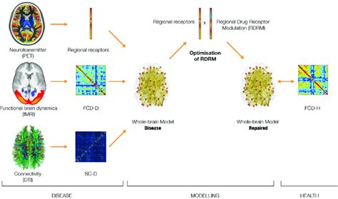 Potential Of Using Whole Brain Modeling For Optimal Drug Modulation