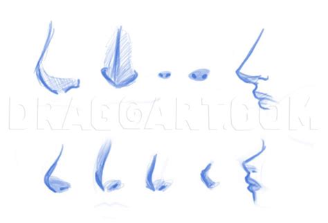 How To Draw Anime Noses Front View 8 Steps How To Draw Side View