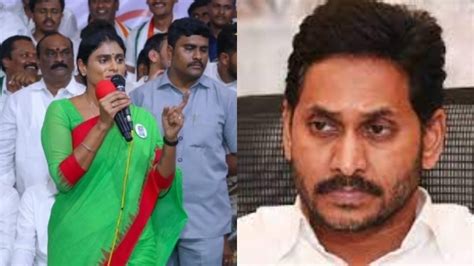 Andhra Pradesh Congress Leader Ys Sharmila Fire On Ap Cm Ys Jagan And