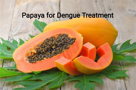 Papaya Leaves In Dengue क्या पपीते के पत्तों में छिपा होता है डेंगू