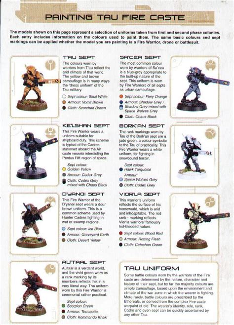 Guide Paint Guide Painting Tau Tau Painting Guide Tau Empire