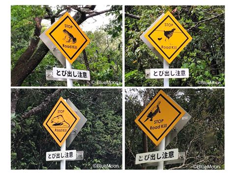 Understanding Road Signs In Japan
