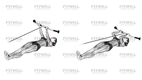 Cable Lying Curl Exercise Guide Video Techniques Benefits How To Muscles Worked Tips