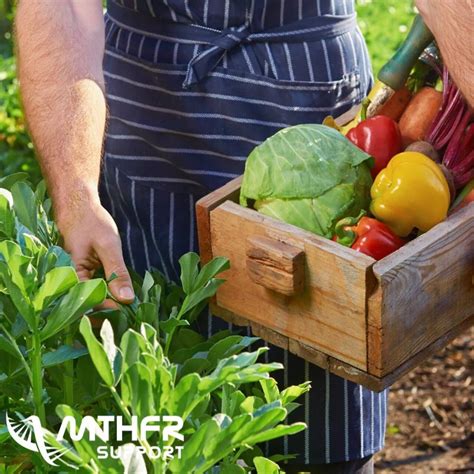 Key Toxins That Affect Our Biochemistry MTHFR Support Australia