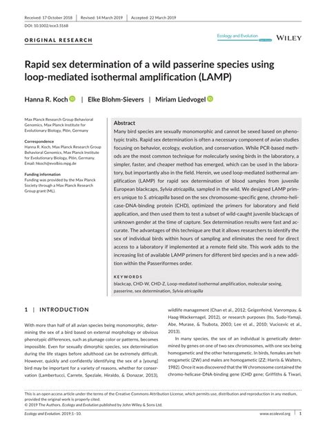 Pdf Rapid Sex Determination Of A Wild Passerine Species Using Loop