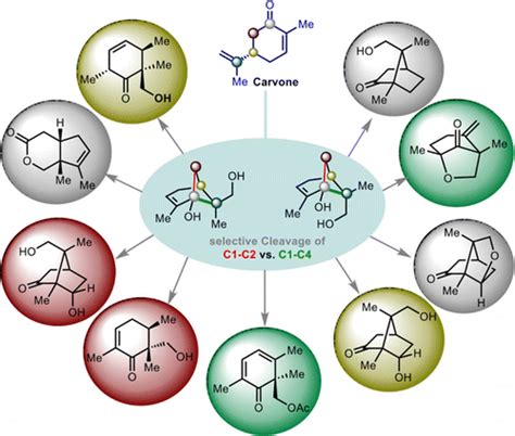Selective CC And CH Bond Activation Cleavage Of Pinene Derivatives