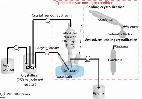 Crystallization Process Diagram