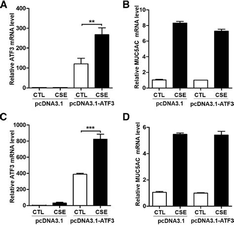 Figure 1 From Activating Transcription Factor 3 Is Essential For