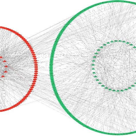 Interaction Network Diagram Of Differentially Expressed LncRNA And
