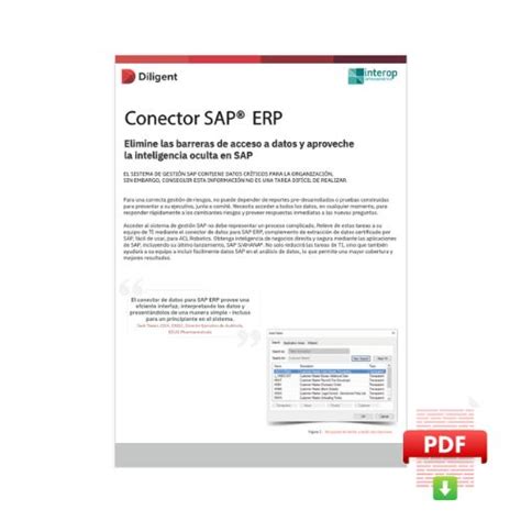 Conector Sap Instituto De Auditores Internos De Argentina