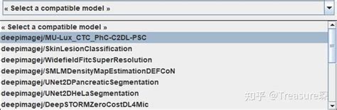 Imagej实用教程——deepimagej（插件篇） 知乎