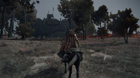 Sleeping Dragon Elden Ring How To Defeat Elder Dragon Greyoll