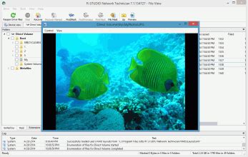 Automatic RAID Parameter Detection
