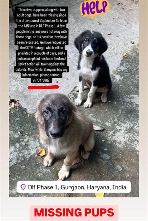 Sudhir Sachdeva Posted On Linkedin