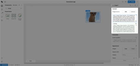 Getting Started With The Image Component Retool Docs