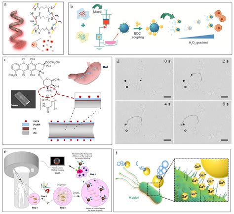 Biodegradable Microrobots And Their Biomedical Applications A Review