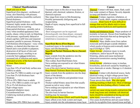 Burns Notes Clinical Manifestations Depth And Size Of Burn