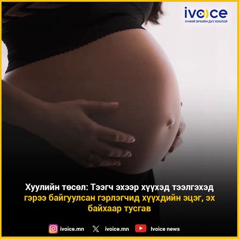 Ivoice Mn Хуулийн төсөл Tээгч эхээр хүүхэд тээлгэхэд гэрээ байгуулсан гэрлэгчид хүүхдийн эцэг