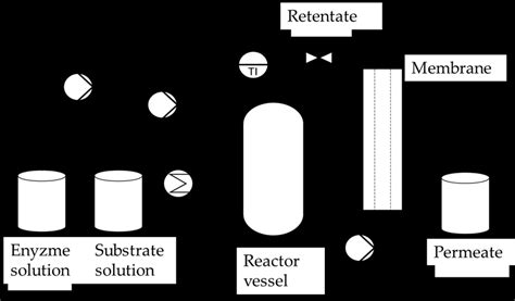 Process Scheme For Continuous Fructo Oligosaccharide Fos Production Download Scientific
