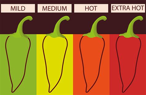 매운 수준 뜨거운 등급 표시기 파프리카의 포화 도면 고추 고추의 포화 도용은 온화에서 여분의 뜨거운 에 아시아와 멕시코의 매운 붉은 소스 추가 온화한 뜨거운 중간 벡터