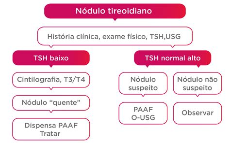 Nódulos e câncer de tireoide resumo para as provas