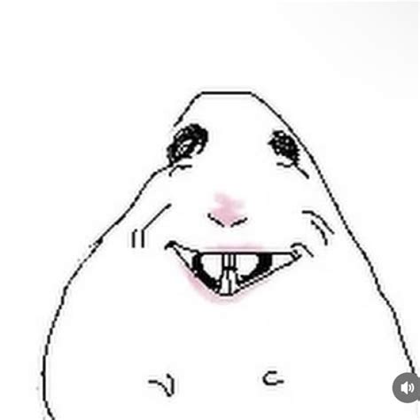 Pin By Wan Airin On Funny Doodles Funny Hamsters Reaction Pictures
