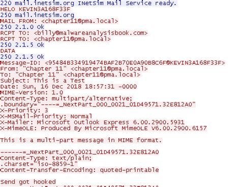 Practical Malware Analysis Lab 11 2 Bufferoverflowed