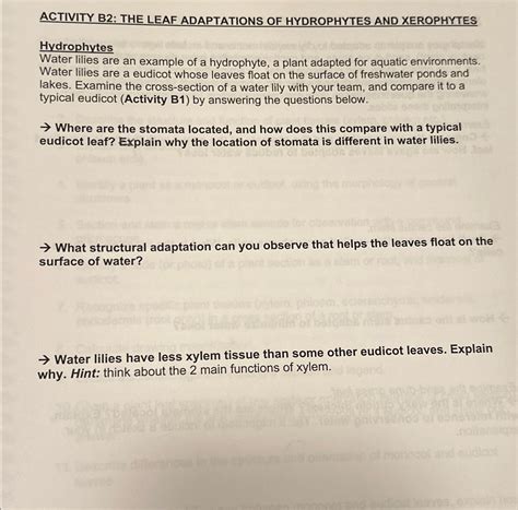 Solved Activity B2 The Leaf Adaptations Of Hydrophytes And