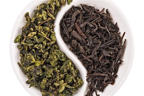 Green Tea Vs Black Tea Kombucha The Major Differences