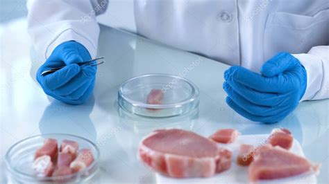 Cient Fico Probando Muestras De Carne Para Gmo Control De Calidad De
