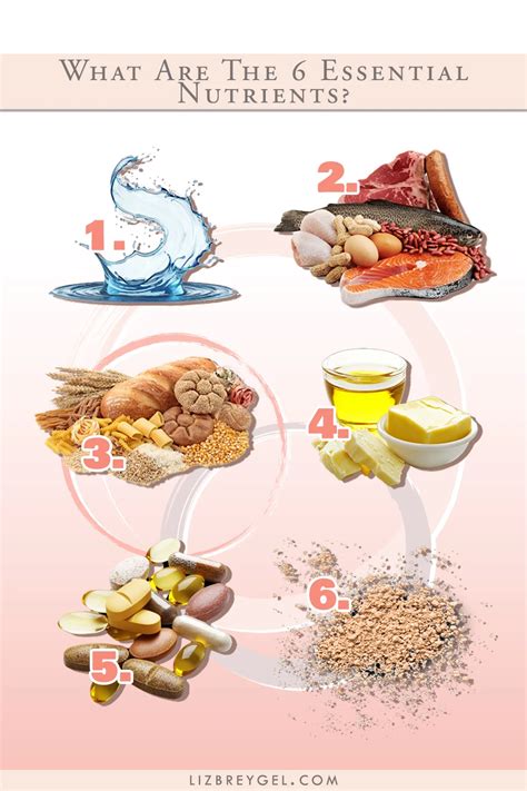 What Are The 6 Essential Nutrients For The Bodys Health And Energy Lizbreygel Beauty
