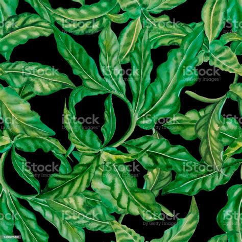 열대 잎은 이음새가 없는 수채화 무늬를 띠고 있습니다 흰색 배경에 고립 된 녹색 식물 가지의 손으로 그린 그림 정글 장식품 옷과 벽지를위한 여름 인쇄 이국적인 배경 0명에
